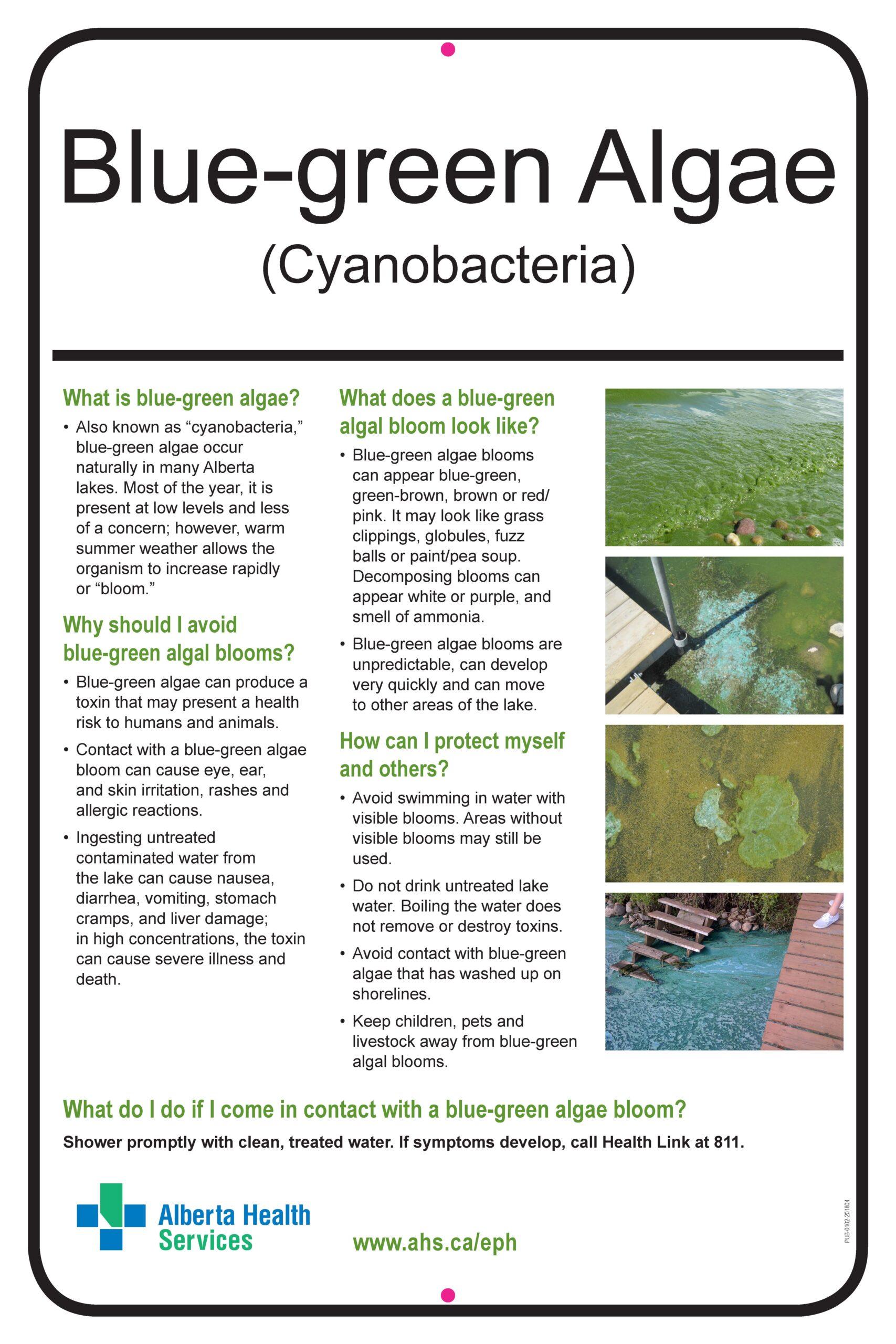 Blue Green Algae in the Special Areas - Special Areas Board